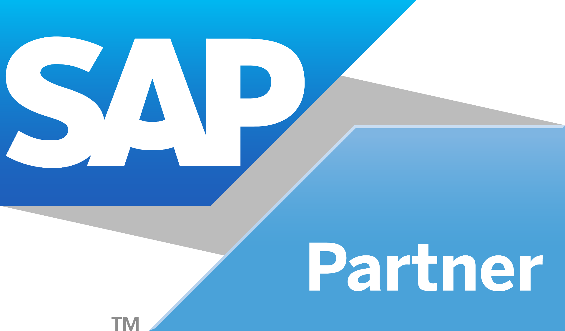 SAP Business One Solutions | SAP DS - ERP for Manufacturing ...